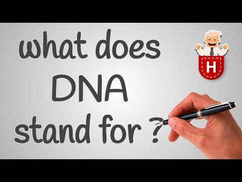 what does DNA stand for