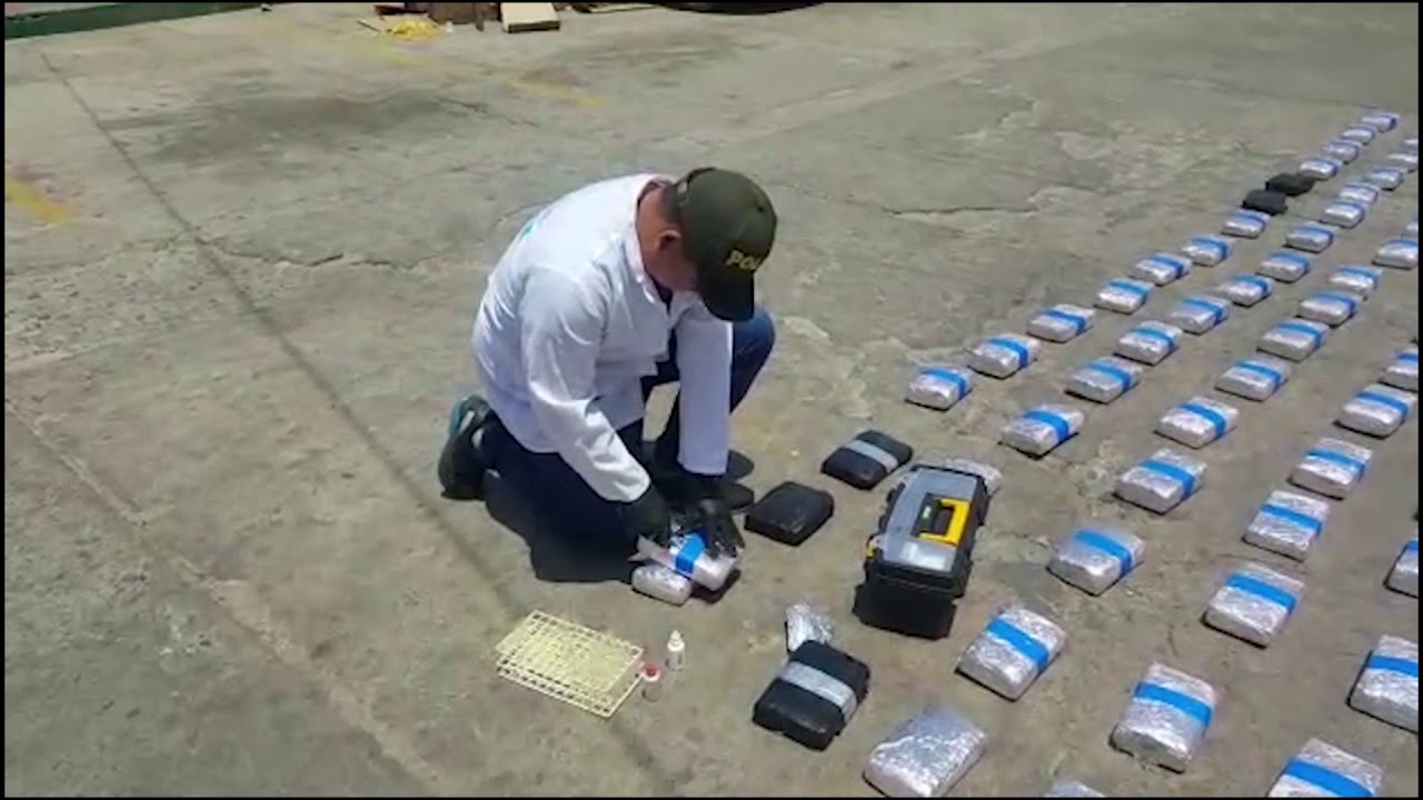 En Maicao incautan 228 kilos de marihuana