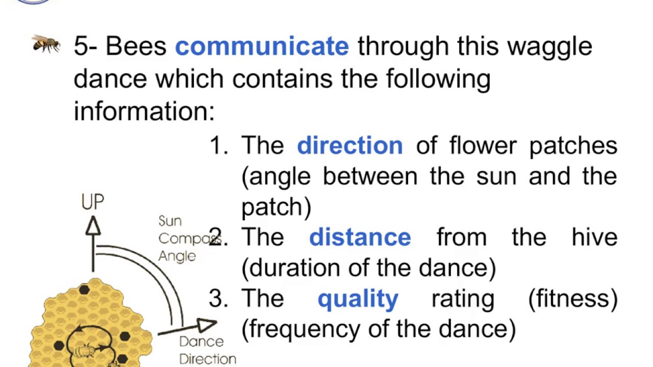 The Bees algorithm and its application