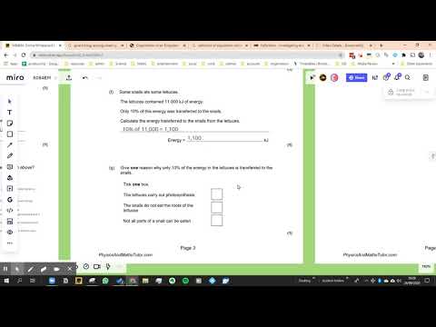 energy transfer in food chains (GCSE Biology)