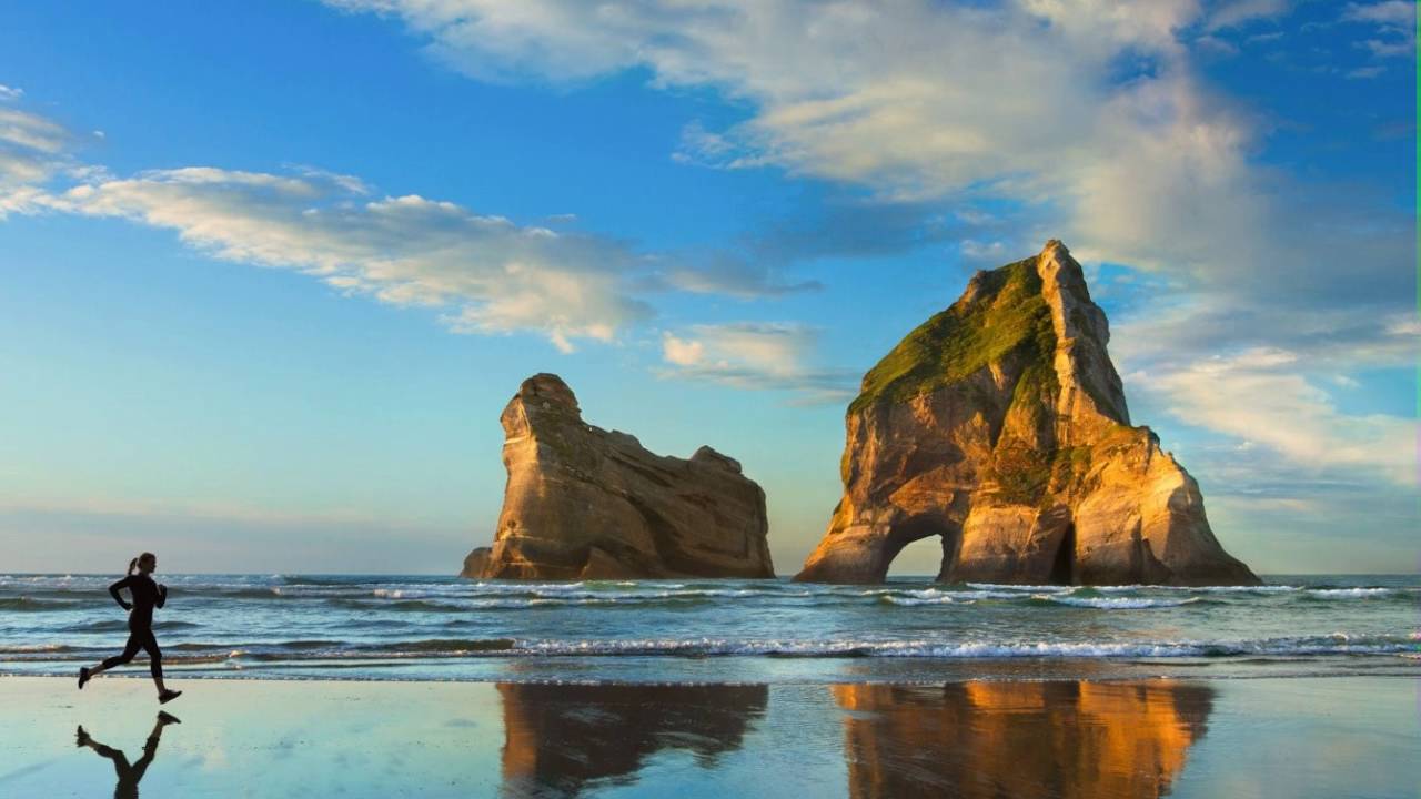 SLP-V basic installtion and scale setup