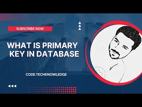 What is primary key in Database