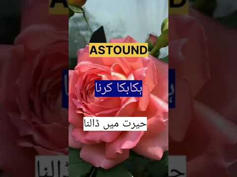 ASTOUND meaning in urdu.Word with A.