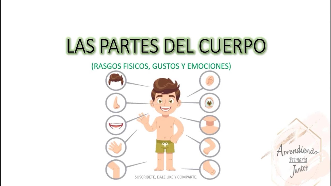 1ER GRADO LAS PARTES DEL CUERPO
