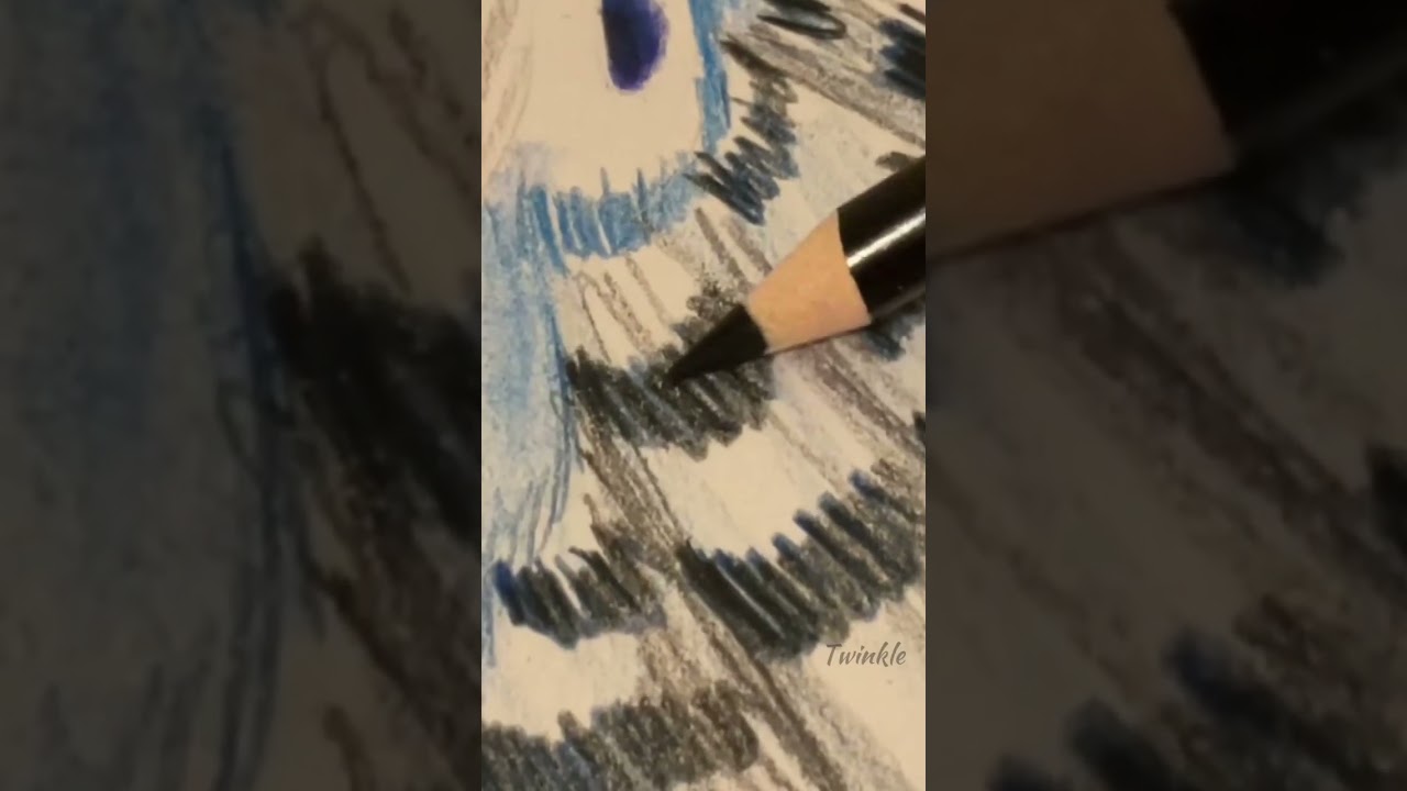 Drawing a realistic budgie #shorts