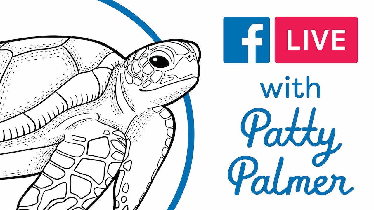 Happy Sea Turtle Drawing and Painting | Draw & Paint Along with Patty