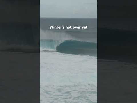 🚨 PIPELINE IS LIVE 🚨 head over to our channel now to watch the late season WNW swell slam Hawaii.
