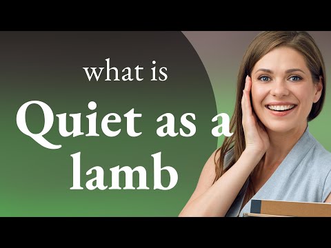 Quiet as a Lamb: Understanding English Idioms