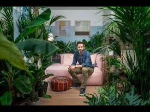 Is Biophilic Design the Future?