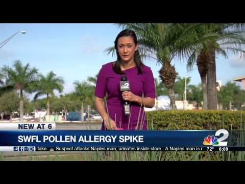 Dr. Imtiaz Ahmad Discusses How Rising Pollen Counts Impact Allergies