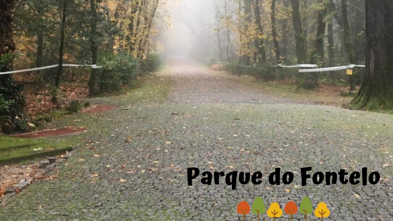 Parque do Fontelo
