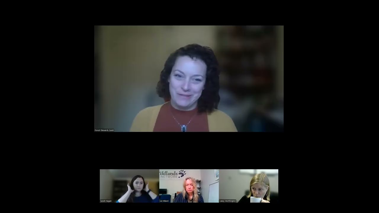 Forest Management Tools for Songbird Conservation webinar, Sept 2025