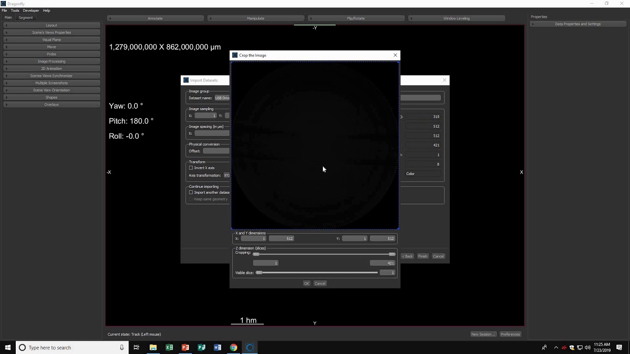 Dragonfly 101: Importing Images