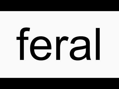 How to pronounce feral