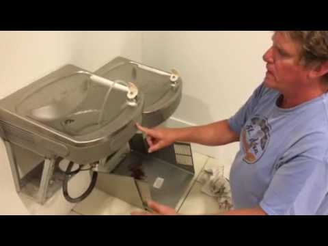 Elkay drinking fountain repair