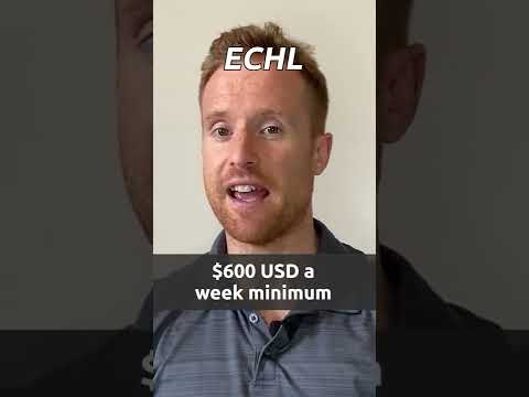ECHL Minimum Hockey Salary #shorts