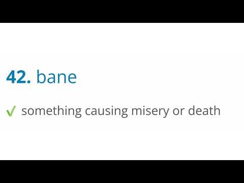 bane meaning sentence and pronunciation