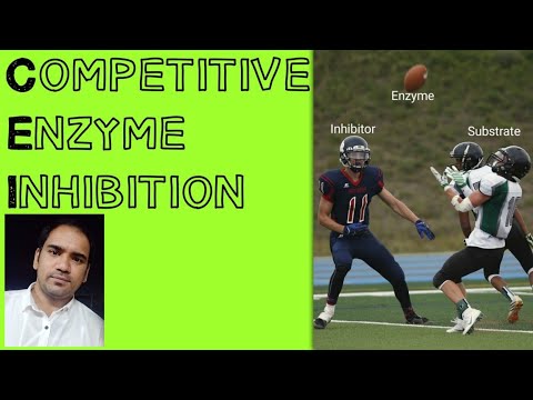 Competitive Inhibition of Enzymes : Meaning || Mechanism || Kinetics || Examples and significance.