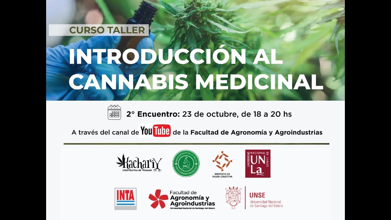 Curso Taller INTRODUCCIÓN AL CANNABIS MEDICINAL - 2º Encuentro