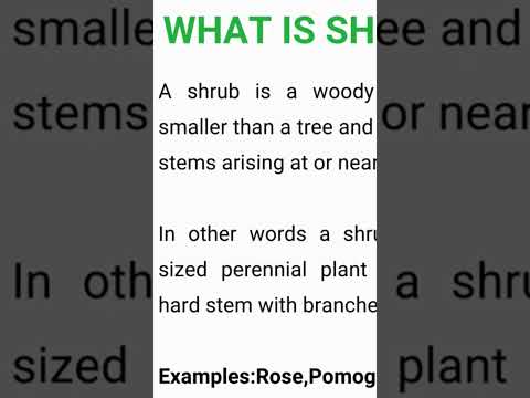 Shrubs #education