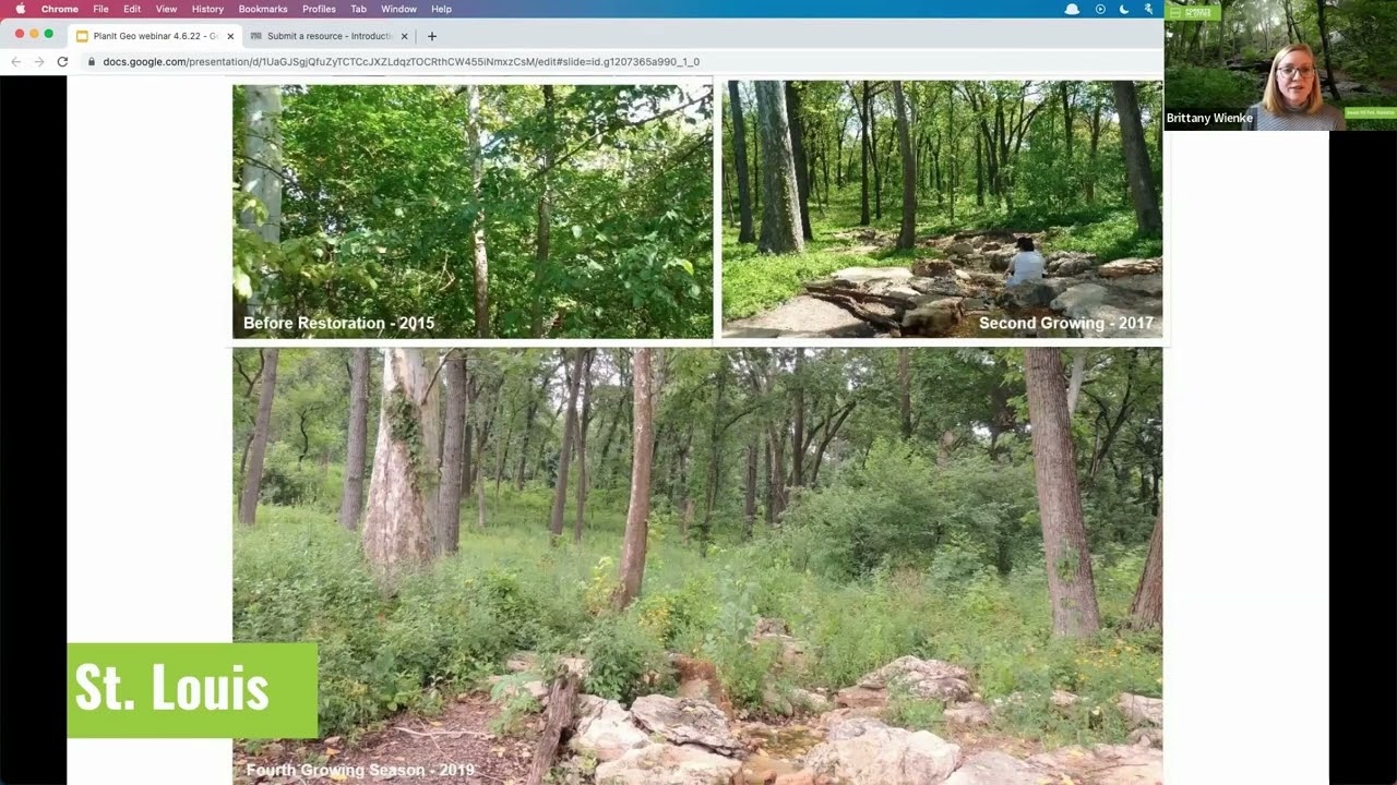 Urban Forest Restoration Example - The Unique Value of Forest Patches (Webinar Clip)