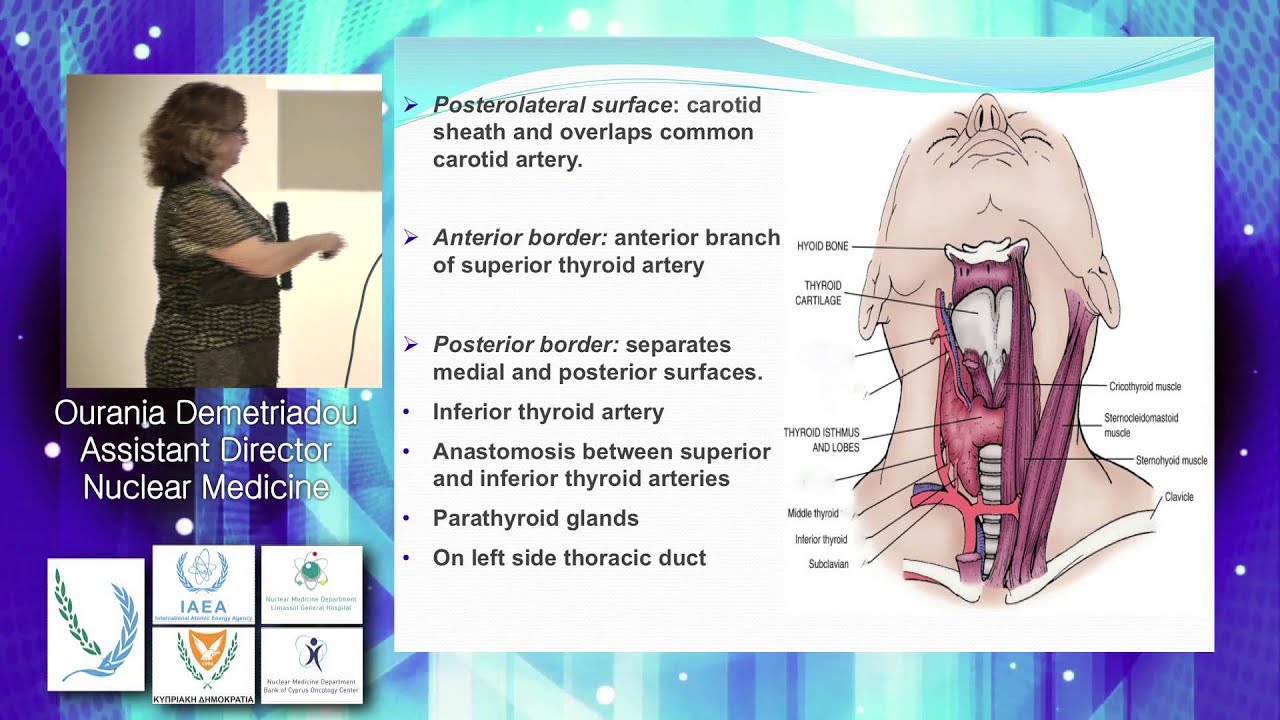 Monday, Understanding Thyroid Anatomy and Function, Ourania Demetriadou