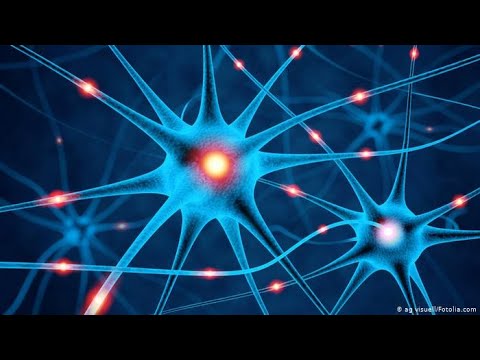 ¿Qué es el estímulo en la comunicación? – ACUT.NET