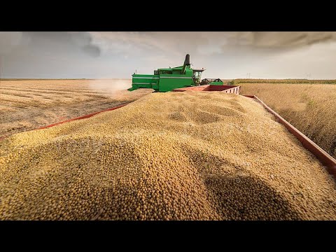 How are 135 tons of soybeans produced by American farmers - American Farming