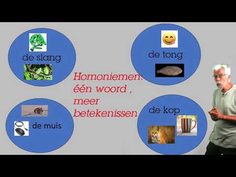 niveau A1, A2, B1 : homoniem, één woord, maar twee betekenissen.