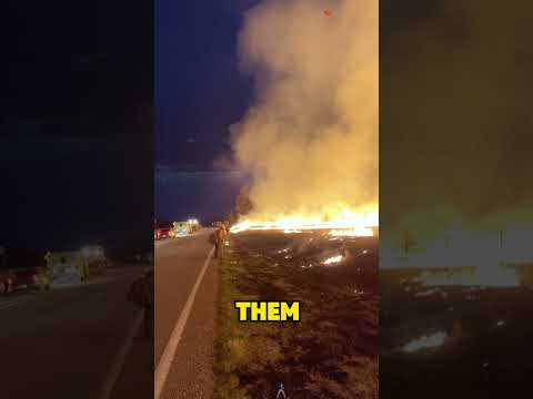 Why do firefighters set fires?