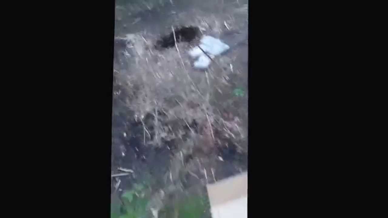 Andy's bees episode 3