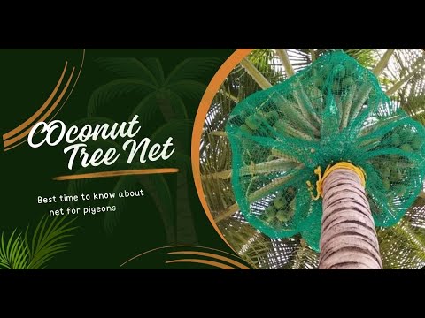 Coconut Safety Net - Coconut Tree Net Latest Price, Manufacturers ...