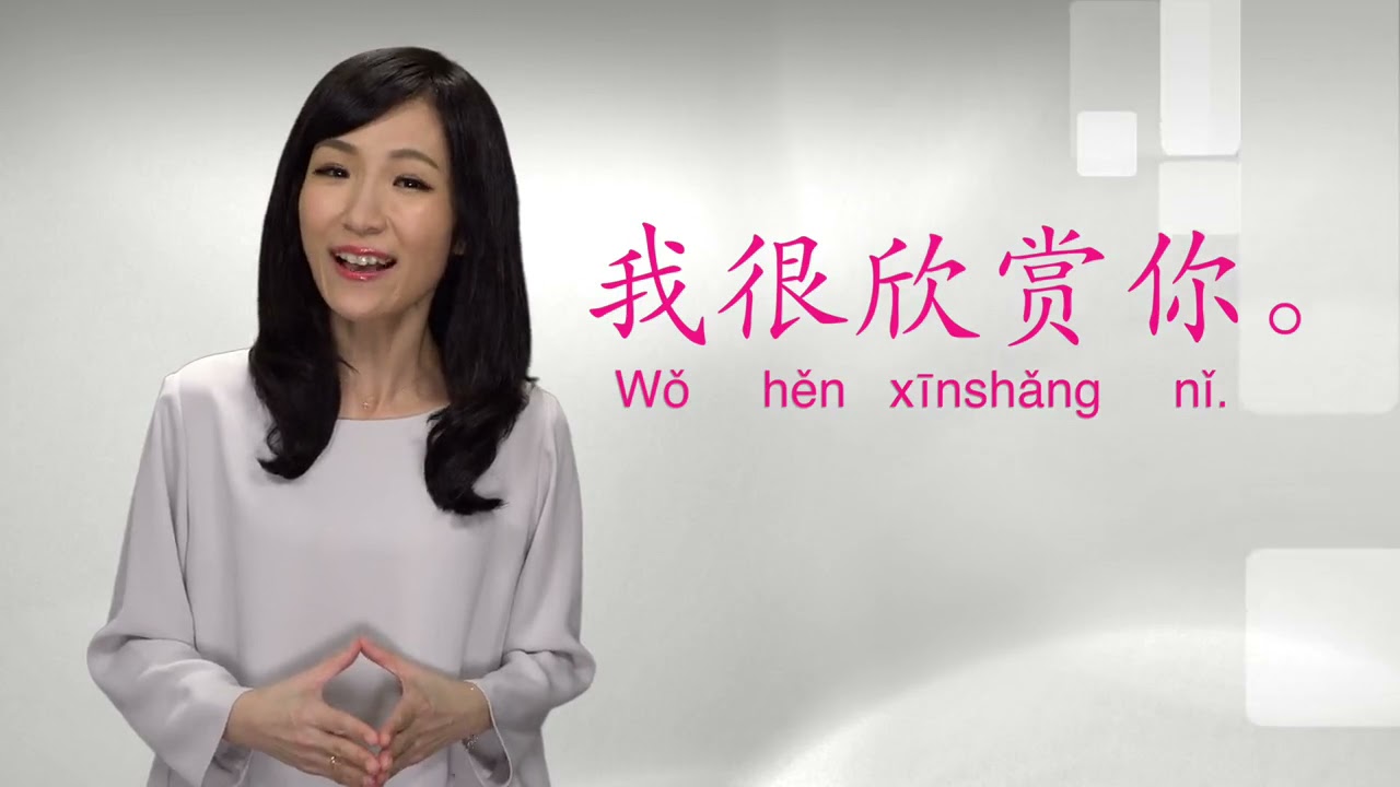 Basic Mandarin Chinese Level 3  - Lesson 1 Vocabulary part 1