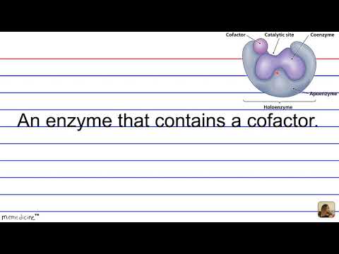 New MCAT ® Cram│ Biochemistry Flashcards│ Card 4│ 1A│ Enzyme Structure