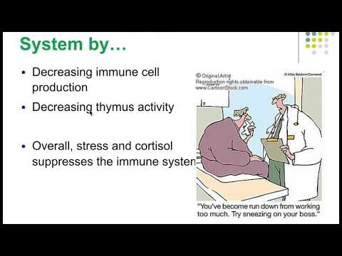 Pathophysiology Ch 2 Homeostasis & Adaptive Response to Stressors