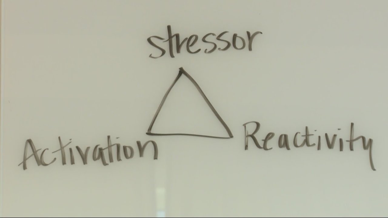Mindfulness-based stress reduction techniques are making a major impact