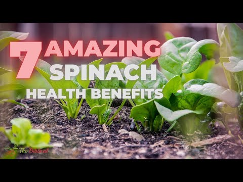 7 Amazing Spinach Benefits + 3 Ways to Use Spinach for Health