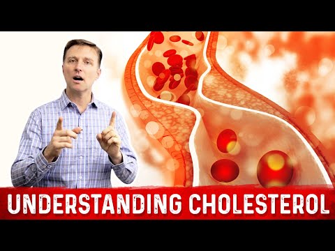How to Read and Understand Your Cholesterol Levels