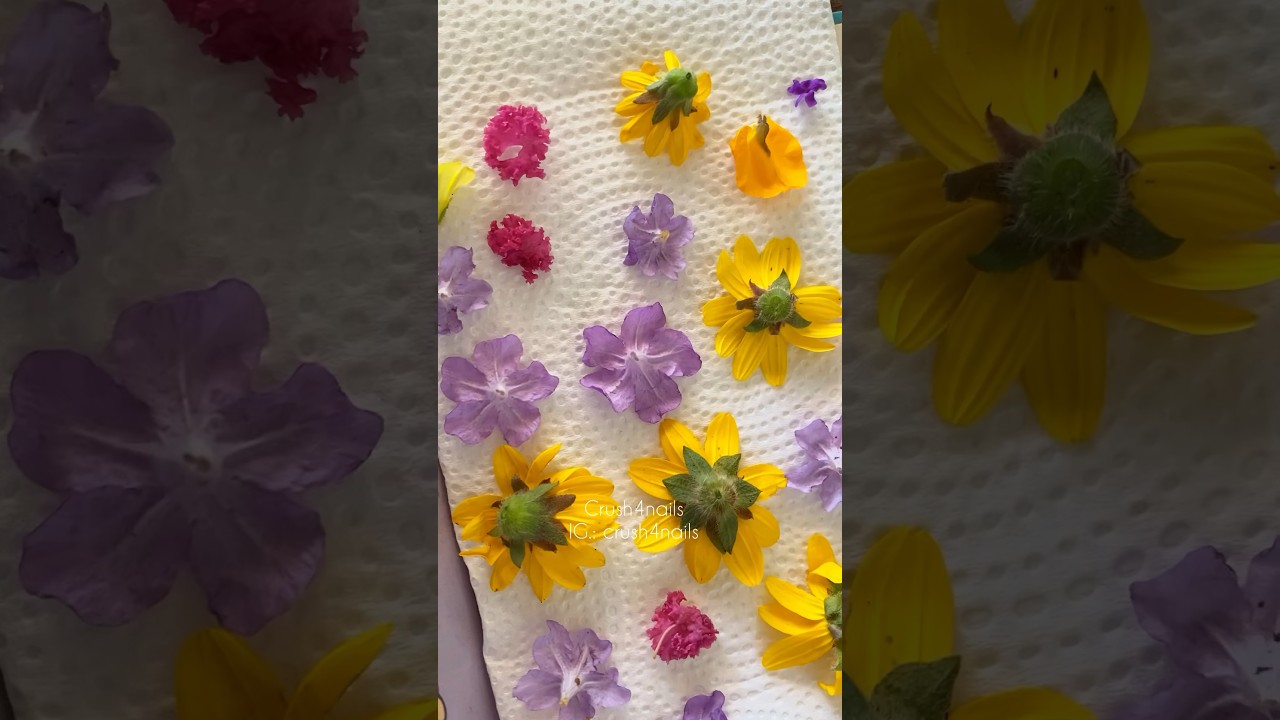 Cuando no conseguis flores secas, debes hacerlas 🤭 ¿para que las usarías?
