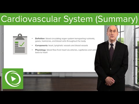 Cardiovascular System: Definition, Components & Physiology – Vascular Medicine | Lecturio
