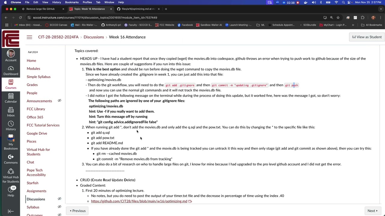 CIT28 - Issues with movies db file size