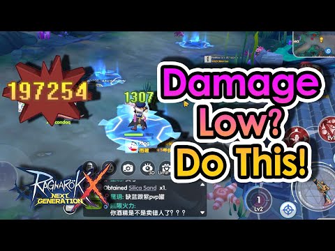 [ROX] 5 Tips To Increase Damage In Early Game For Gunslinger | King Spade