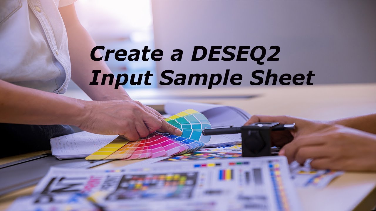 Let's make our DESEQ Sample Sheet! John Rinn Computational Genomics Lab