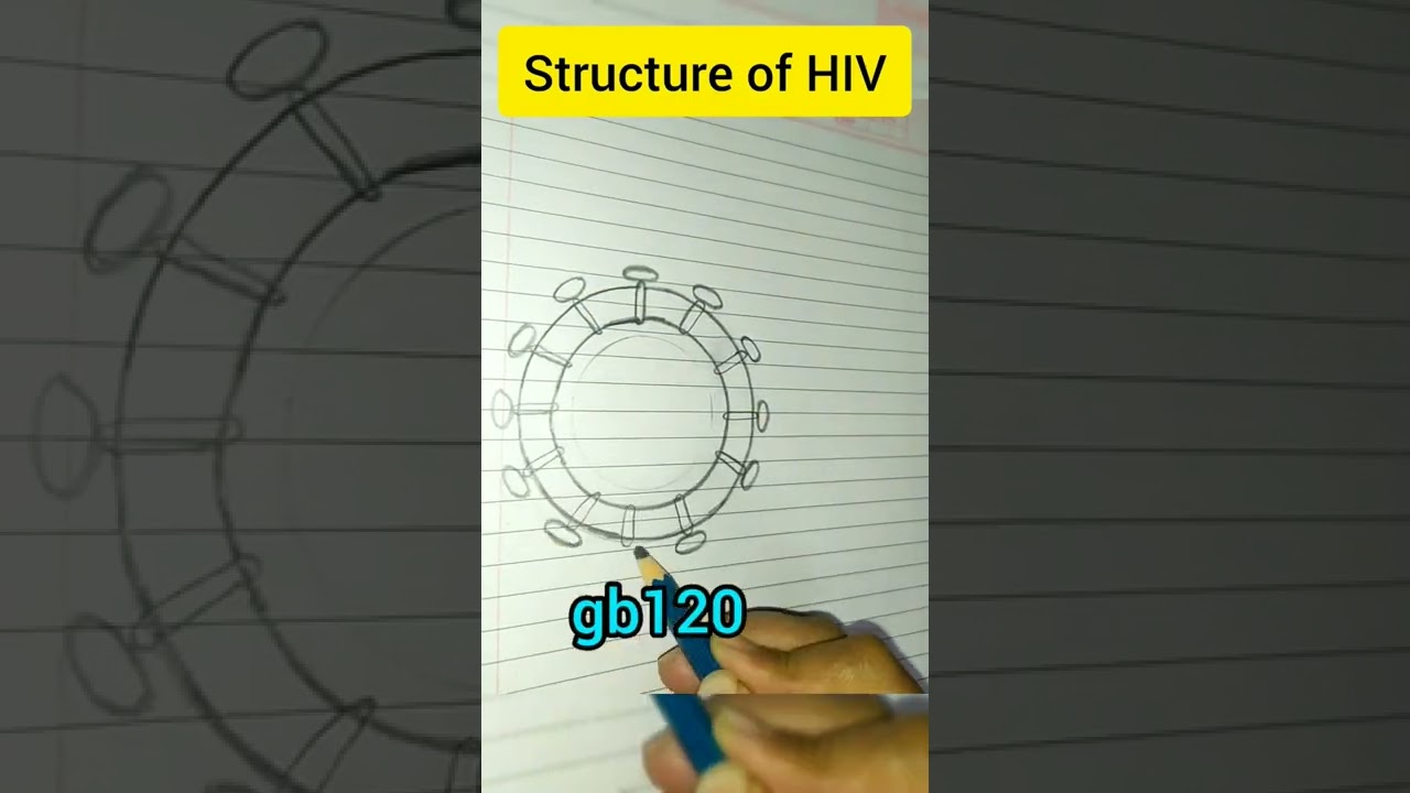 How to draw HIV |AIDS| #short #aids #biology #cbse #icse
