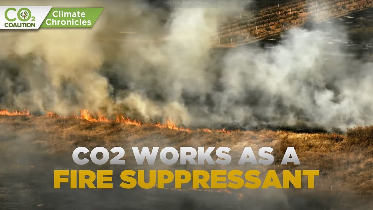 Wildfires | CO2 Coalition Climate Chronicles #ClimateChronicles #NoClimateCrisis
