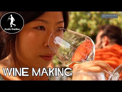 Wine Making and Tasting - Sant'anastasia vineyard - Sicily