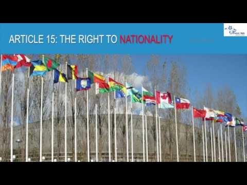 UDHR Video