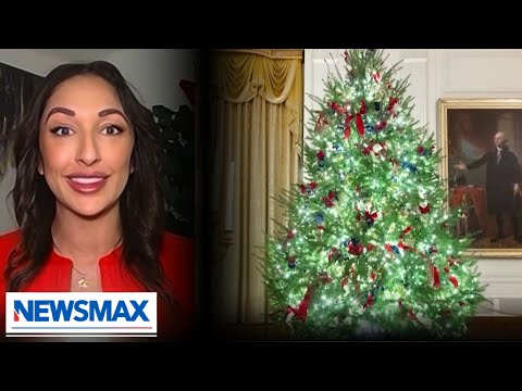 The Kennedy Center will now represent America: Roma Daravi | Wake Up ...