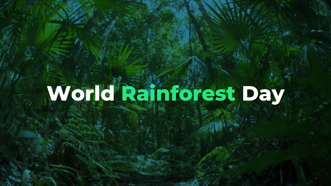 World Rainforest Day Video Template (Editable)