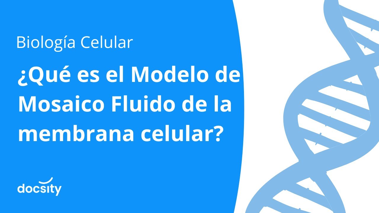 ¿Qué es el Modelo de Mosaico Fluido de la membrana celular?